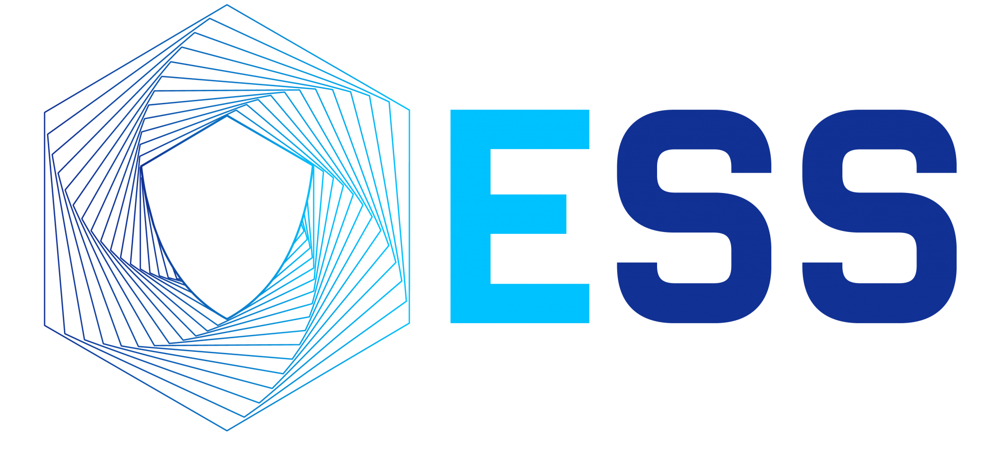 Giải pháp phần mềm – ESS